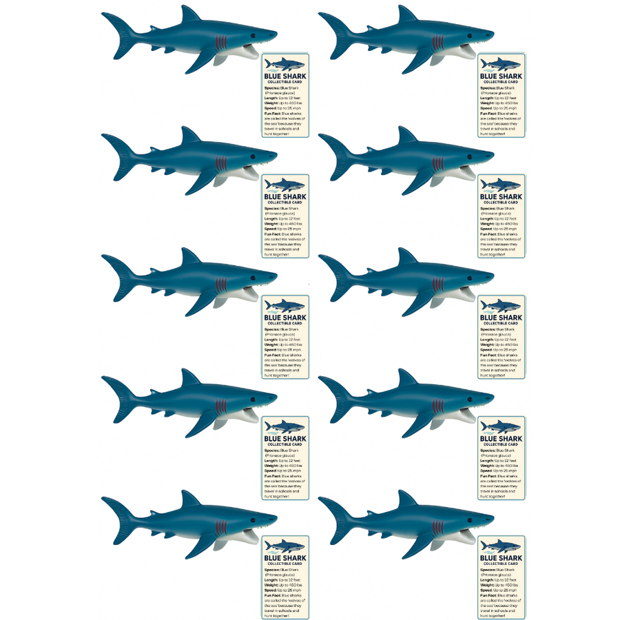 12 Sets of Sharks With Fun Fact Greeting Cards – Christian Book And Toys